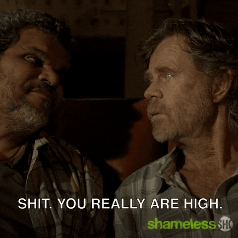 Shit-you-are-really-high GIFs - Get the best GIF on GIPHY