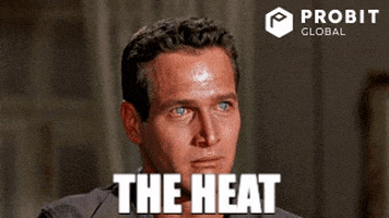 The Heat Sweat GIF by ProBit Global - Find & Share on GIPHY