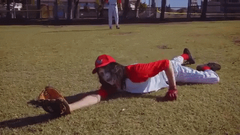 Fletcher Shears GIFs - Find & Share on GIPHY