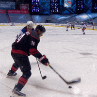 Big Hockey Hits Gif