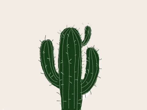 Happy Cactus GIFs - Get the best GIF on GIPHY