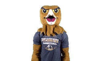 BraveHawk GIFs on GIPHY - Be Animated