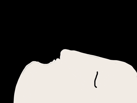 Slow Snail GIFs - Get the best GIF on GIPHY