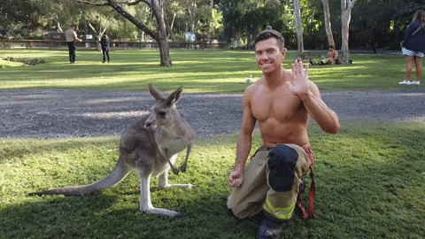 Aussie Hot GIFs - Get the best GIF on GIPHY