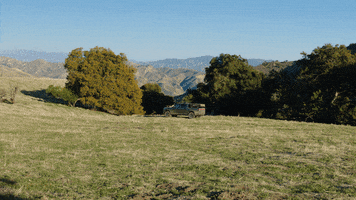 Adventurous Forever GIFs on GIPHY - Be Animated