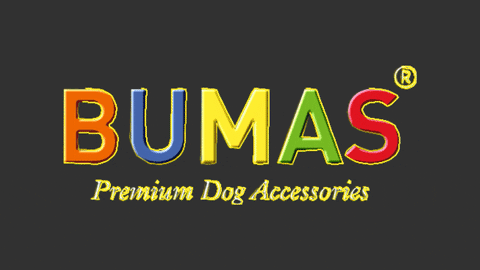 Bumas GIFs on GIPHY - Be Animated