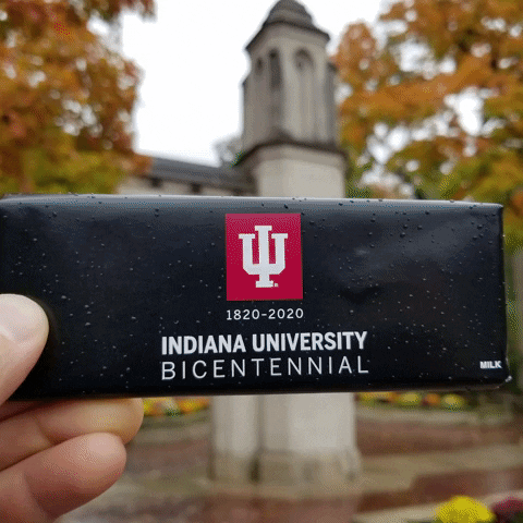 Indiana University Bloomington GIFs - Get the best GIF on GIPHY