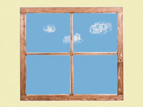 Window Smash GIF by Barbara Pozzi - Find & Share on GIPHY