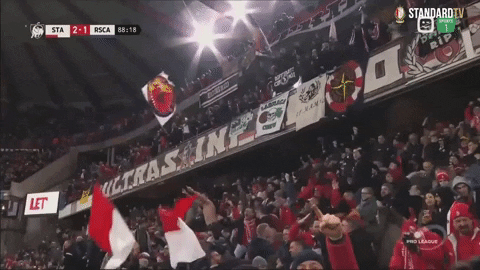 Football Fans GIF by Standard de Liège - Find & Share on GIPHY