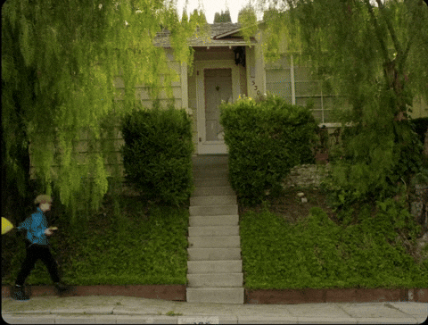 Frolicing GIFs - Get the best GIF on GIPHY