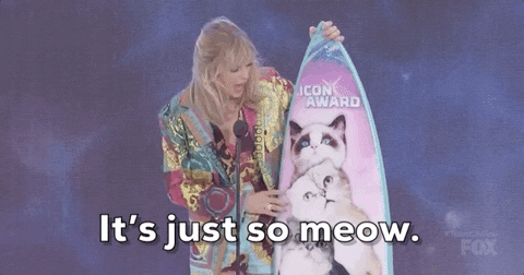 Its Just So Meow GIFs - Get the best GIF on GIPHY