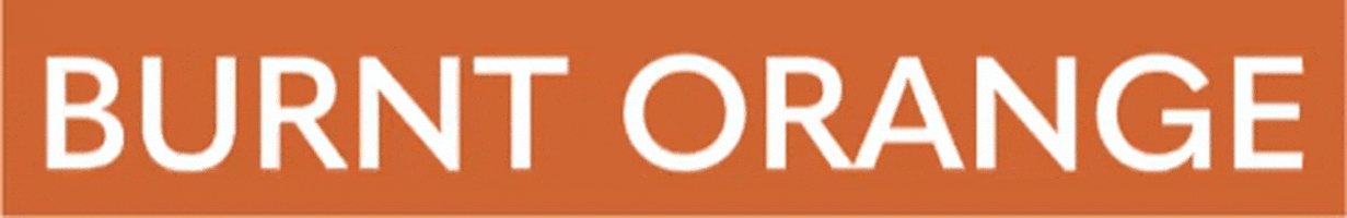 Burnt Orange GIF by BoutineLA - Find & Share on GIPHY