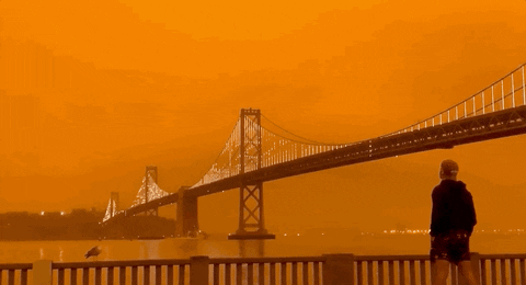 San Francisco Wildfires GIF by GIPHY News - Find & Share on GIPHY