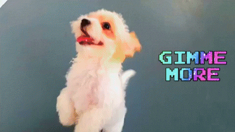 Gimme More GIFs - Find & Share on GIPHY
