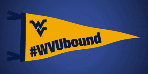 Wvu Admitted GIFs - Get the best GIF on GIPHY