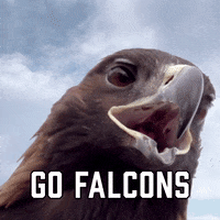 Double Falcon Punch Gif