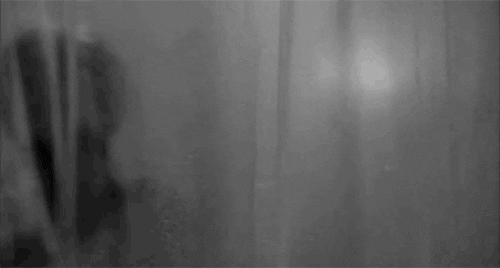 Shower-horror GIFs - Get the best GIF on GIPHY