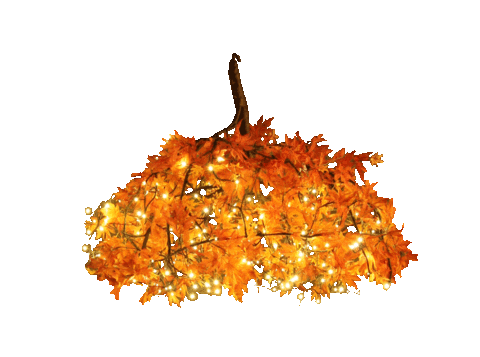 Autumn 2021 GIFs on GIPHY - Be Animated