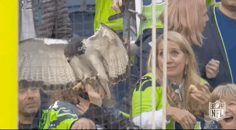 TNF GIFs: Seahawks vs Rams Recap! by Sports GIFs | GIPHY