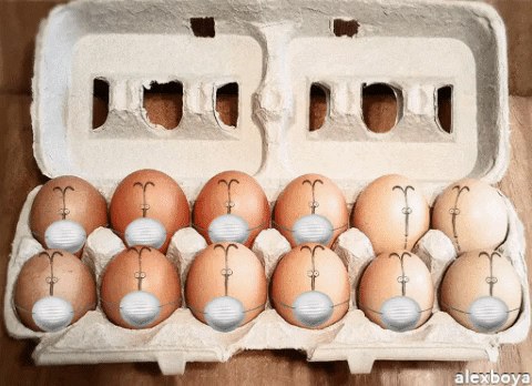 Eggshell GIFs - Get the best GIF on GIPHY