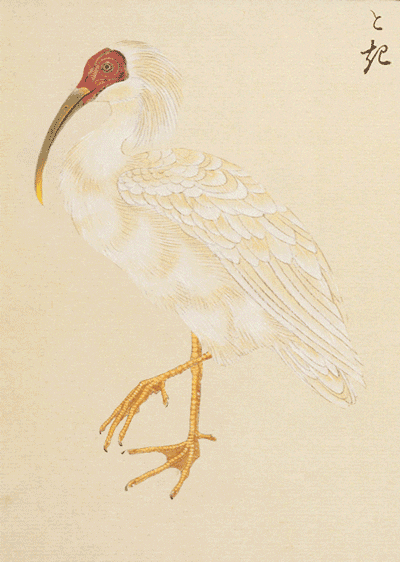 Japanese Art Japan Gif By GIF - Find & Share on GIPHY