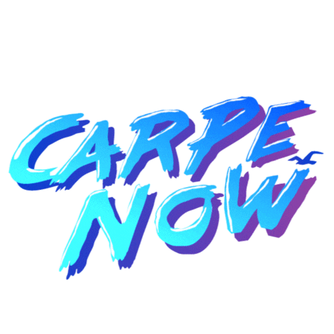 Carpe Diem Sticker by Hollister Co. for iOS & Android | GIPHY