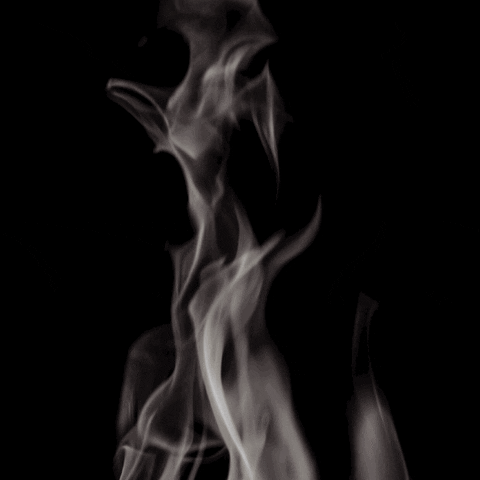FYRE FIT LAGREE GIF - Find & Share on GIPHY