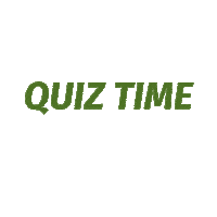 Quiz Animation Gif