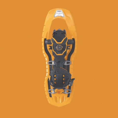 Snowshoes GIFs - Get the best GIF on GIPHY