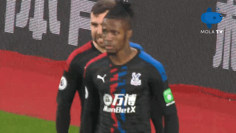Southampton GIF by MolaTV - Find & Share on GIPHY