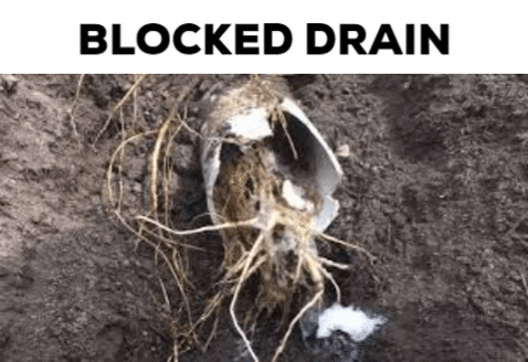 Blocked-drain GIFs - Get the best GIF on GIPHY