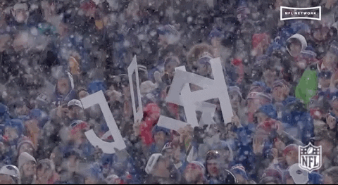 Top 15 GIFs From An NFL Saturday Triple Header! by Sports GIFs | GIPHY