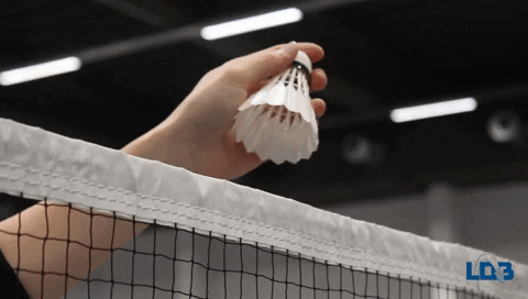 Londerzeel Badminton GIF - Find & Share on GIPHY