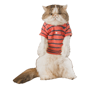 Angry Prince Michael Sticker for iOS & Android | GIPHY