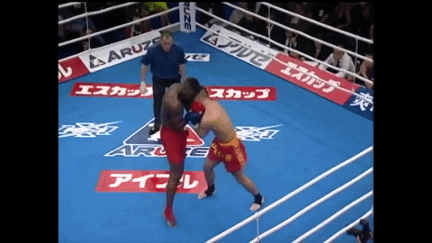 One Punch Knockouts GIFs - Get the best GIF on GIPHY