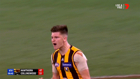 Aussie Rules Reaction GIF by AFL - Find & Share on GIPHY