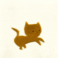 Real Cat Running Gif