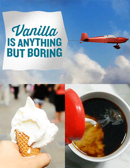 Vanilla GIFs - Get the best GIF on GIPHY