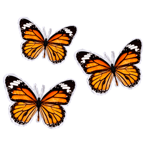 Stars Cut Out Sticker for iOS & Android | GIPHY