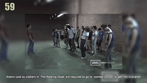 Twd-cast GIFs - Get the best GIF on GIPHY