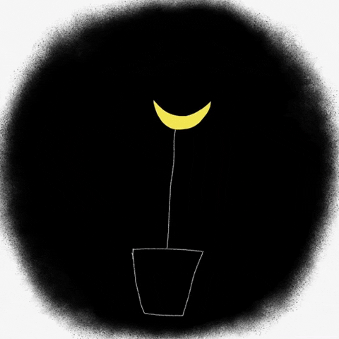 Growing-star GIFs - Get the best GIF on GIPHY