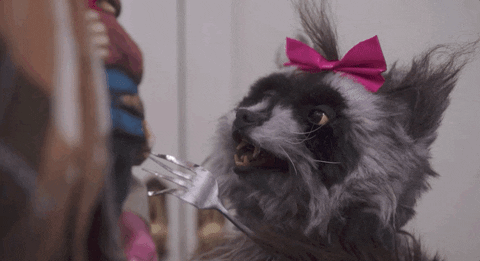 This Is Dedicated To My Boos On Twitter GIFs - Get the best GIF on GIPHY