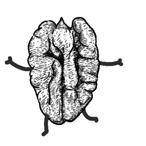 Nuts and Friends GIFs on GIPHY - Be Animated