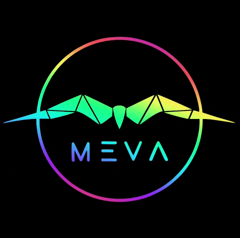 MEVA GIF - Find & Share on GIPHY