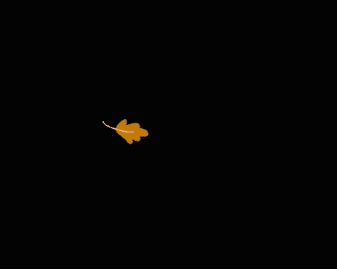Kta Super GIFs - Get the best GIF on GIPHY