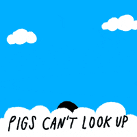 Flying Pig Gif