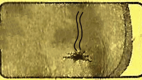 Cut Out Animation GIFs - Get the best GIF on GIPHY