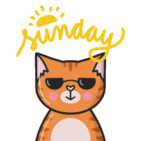 Happy Sunday Cat