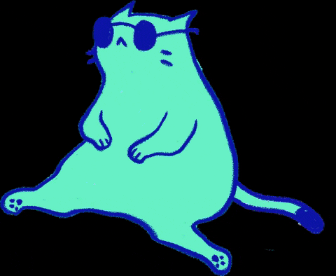 High Cat GIFs - Get the best GIF on GIPHY