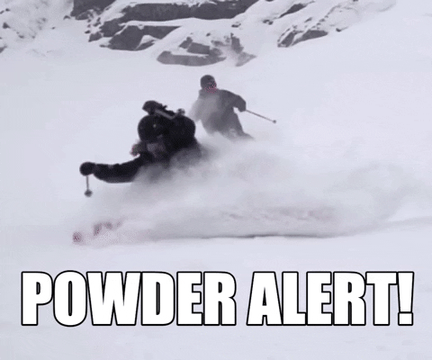 Powder Alert GIFs - Get the best GIF on GIPHY